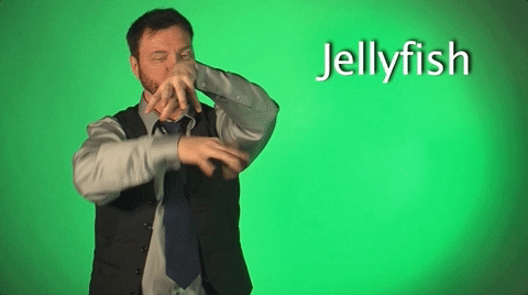 Sign Language Jellyfish GIF by Sign with Robert - Find & Share on GIPHY