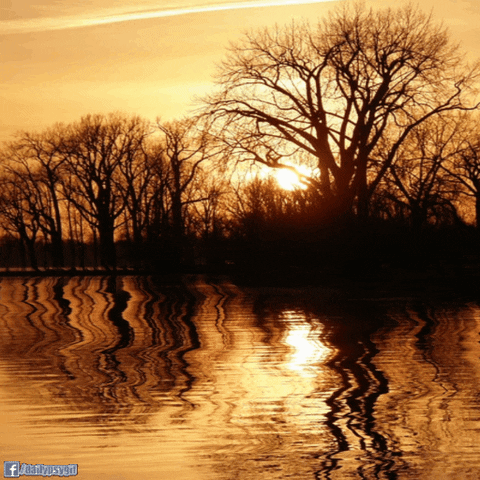 Animation Loop GIF by Psyklon - Find & Share on GIPHY