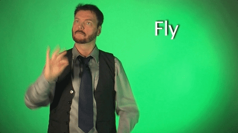 Sign Language Fly GIF by Sign with Robert - Find & Share on GIPHY