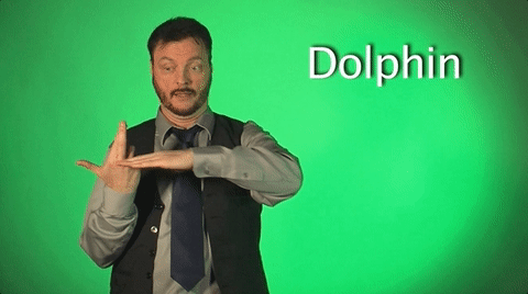 Sign Language Dolphin GIF by Sign with Robert - Find & Share on GIPHY