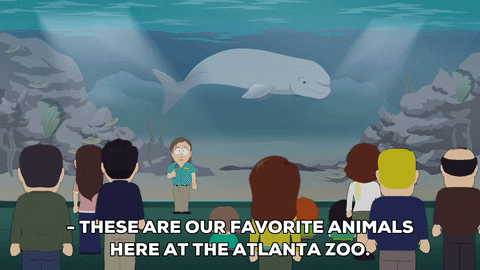 Tank Manatee GIF by South Park - Find & Share on GIPHY