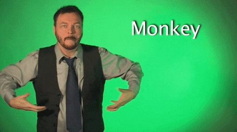 Sign Language Monkey GIF by Sign with Robert - Find & Share on GIPHY