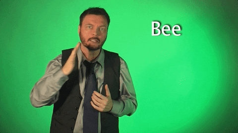 Sign Language Bee GIF by Sign with Robert - Find & Share on GIPHY