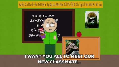 Students Hello GIF by South Park - Find & Share on GIPHY