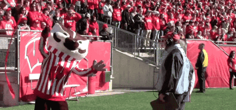 Wisconsin Badgers Bucky GIF by uwmadison - Find & Share on GIPHY