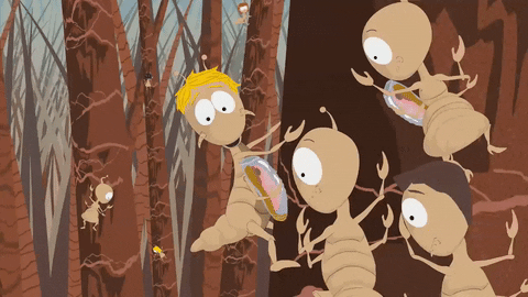 Hair Bugs GIF by South Park - Find & Share on GIPHY