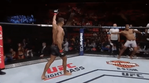 Mma Ufc218 GIF by UFC - Find & Share on GIPHY