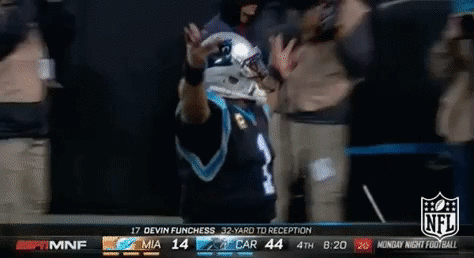 Carolina Panthers Football GIF by NFL - Find & Share on GIPHY