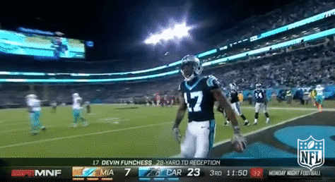 Carolina Panthers Football GIF by NFL - Find & Share on GIPHY
