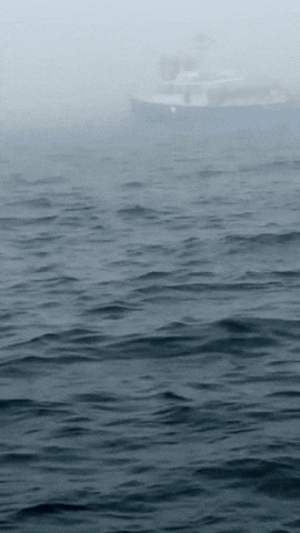 Rain Sea GIF by Josh Rigling - Find & Share on GIPHY