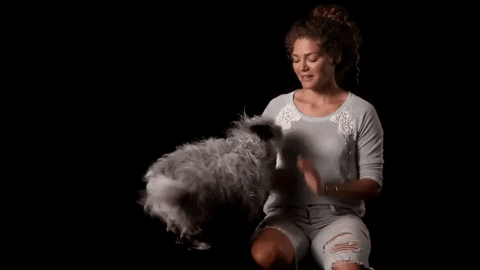 Dog No GIF by SoulPancake - Find & Share on GIPHY