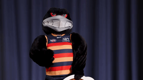Claude The Crow GIF by Adelaide Crows - Find & Share on GIPHY