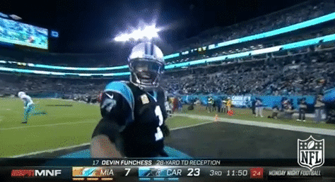 Carolina Panthers Football GIF by NFL - Find & Share on GIPHY
