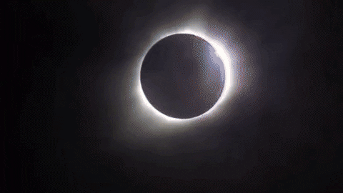 Eclipse Dreamland GIF by that music group - Find & Share on GIPHY