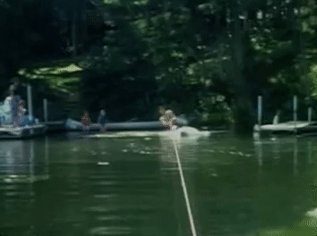 Last Ride In GIF by Green Day - Find & Share on GIPHY