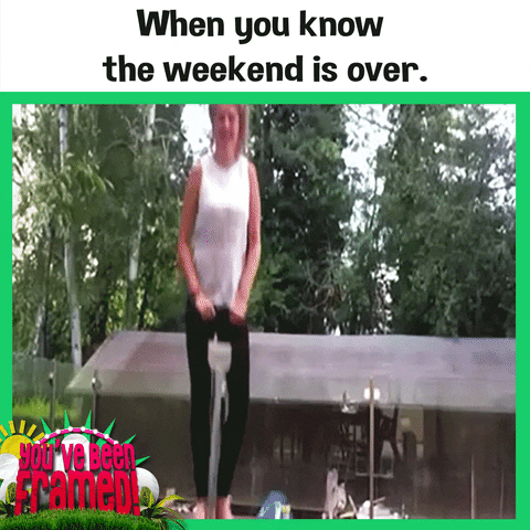 Itv GIF by You've Been Framed! - Find & Share on GIPHY