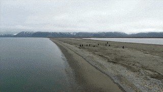 - Find & Share on GIPHY