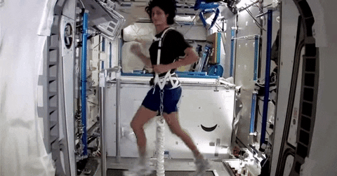 Space 93 Million Miles Away GIF by NASA - Find & Share on GIPHY