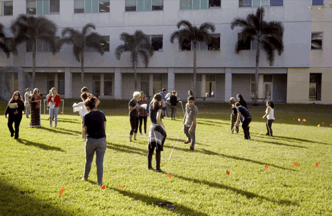 FIU GIF - Find & Share on GIPHY