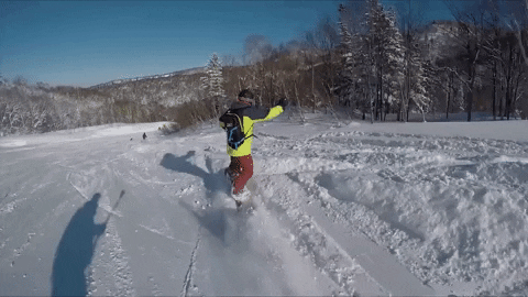 Jumping Monster Energy GIF by Lewis Hamilton - Find & Share on GIPHY