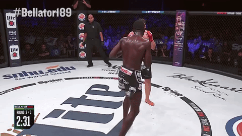 Knock Down Hisaki Kato GIF by Bellator - Find & Share on GIPHY