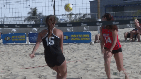 Beach Volleyball GIF by GreenWave - Find & Share on GIPHY