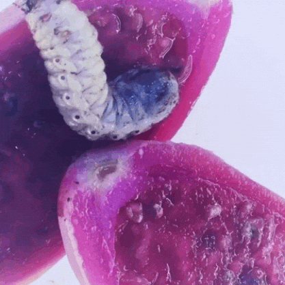 Slimy GIFs - Get the best GIF on GIPHY