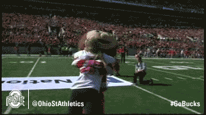 Gobucks GIF by Ohio State Athletics - Find & Share on GIPHY