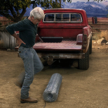 - Find & Share on GIPHY