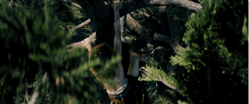 Bryce Dallas Howard Disney GIF by Disney’s Pete’s Dragon - Find & Share ...