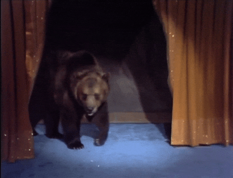 A Grizzly Bear GIF by The Eric Andre Show - Find & Share on GIPHY