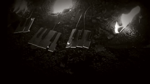 Disturbed GIF - Find & Share on GIPHY