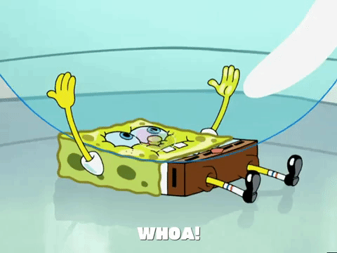 Season 5 GIF by SpongeBob SquarePants - Find & Share on GIPHY