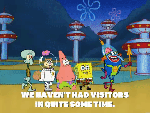 Season 5 GIF by SpongeBob SquarePants - Find & Share on GIPHY