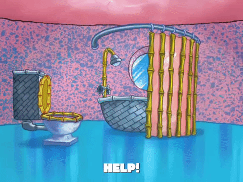Season 6 Squid'S Visit GIF by SpongeBob SquarePants - Find & Share on GIPHY