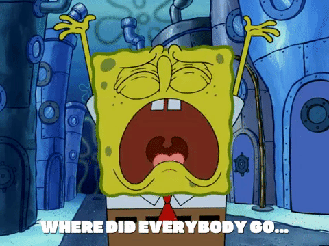 Season 6 GIF by SpongeBob SquarePants - Find & Share on GIPHY