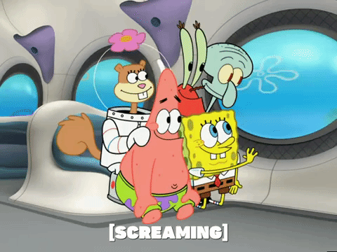 Season 5 GIF by SpongeBob SquarePants - Find & Share on GIPHY