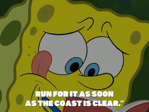 Season 6 GIF by SpongeBob SquarePants - Find & Share on GIPHY