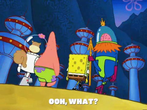 Season 5 GIF by SpongeBob SquarePants - Find & Share on GIPHY
