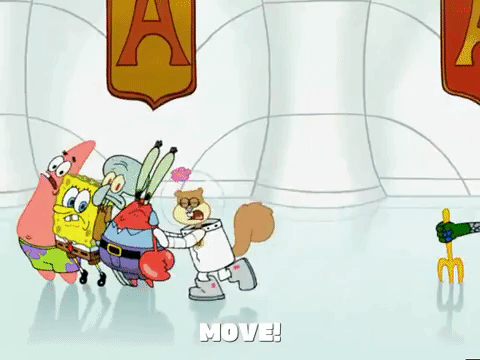 Season 5 GIF by SpongeBob SquarePants - Find & Share on GIPHY