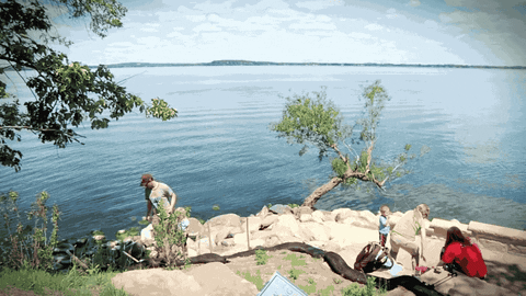 Lake Mendota Wisconsin GIF by uwmadison - Find & Share on GIPHY