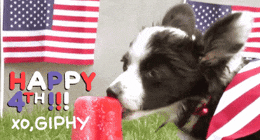 4Th Of July GIF by GIPHY Studios Originals - Find & Share on GIPHY