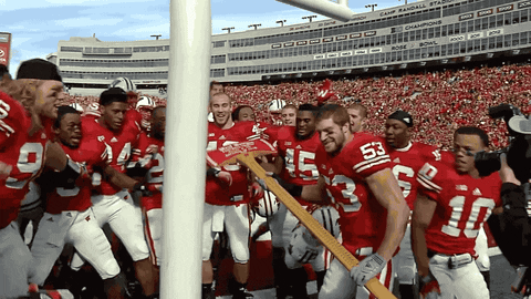 Wisconsin Badgers Axe GIF by uwmadison - Find & Share on GIPHY