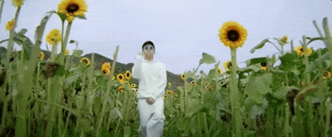 Flower Field GIFs - Find & Share on GIPHY