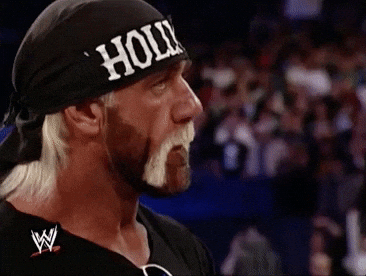 Wrestling Hulk Hogan Vs The Rock GIF by WWE - Find & Share on GIPHY