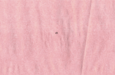 Pink Drawing GIF by Philippa Rice - Find & Share on GIPHY