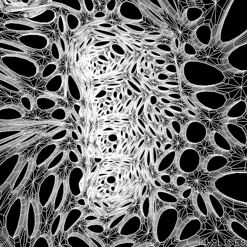 Black And White Wireframe GIF by Pi-Slices - Find & Share on GIPHY