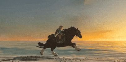 Galloping GIFs - Find & Share on GIPHY