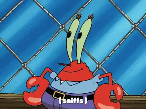 Season 2 Something Smells GIF by SpongeBob SquarePants - Find & Share ...