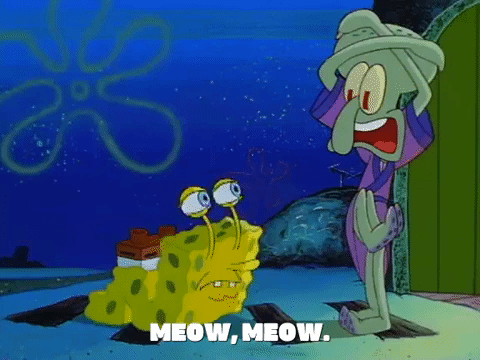 Season 1 Episode 13 GIF by SpongeBob SquarePants - Find & Share on GIPHY